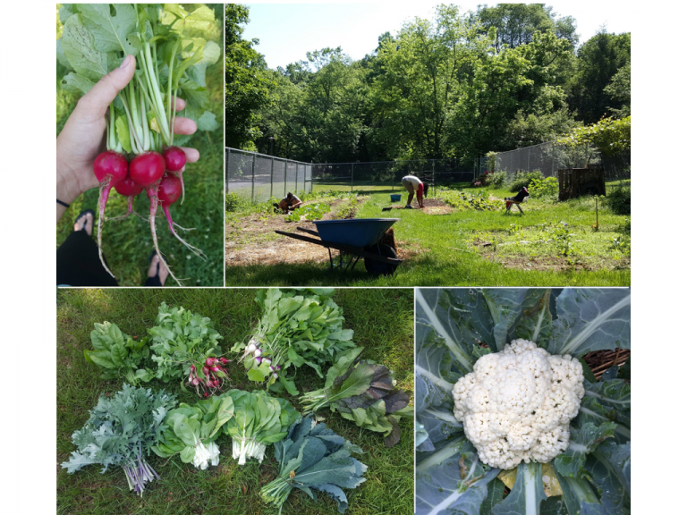 Campus Theme Events | The College Core